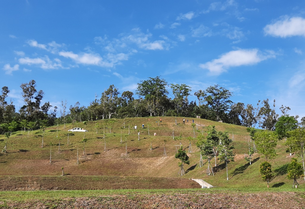 Planting of sponsored trees gets going in Wisdom Park – Nalanda ...