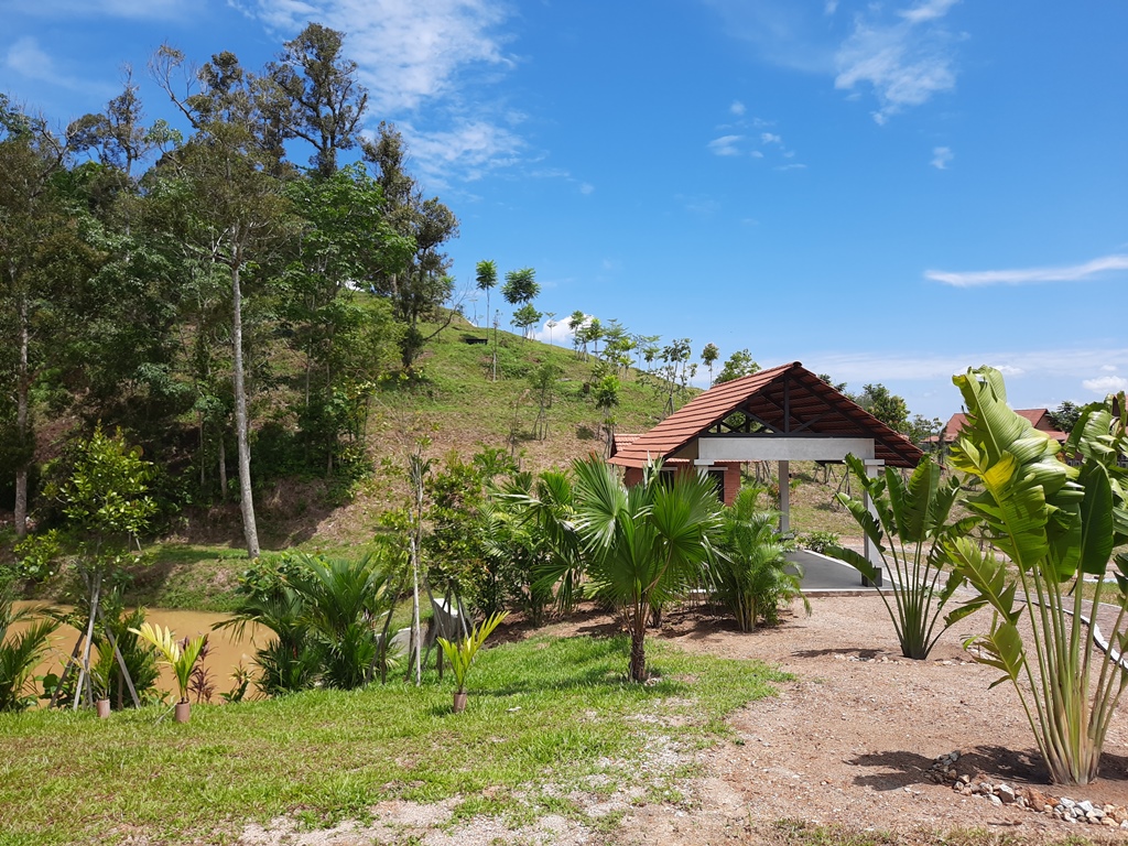 Planting of sponsored trees gets going in Wisdom Park – Nalanda ...