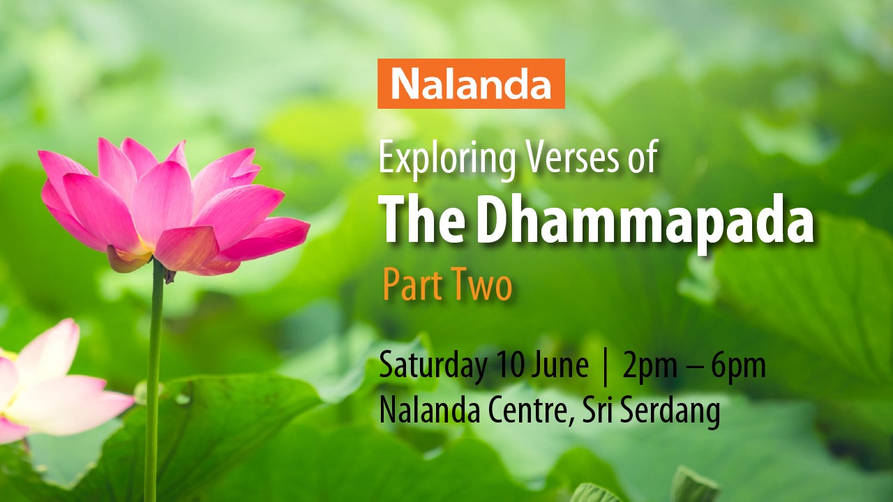 ‘Dhammapada Study Series’ is tomorrow – Nalanda Buddhist Society